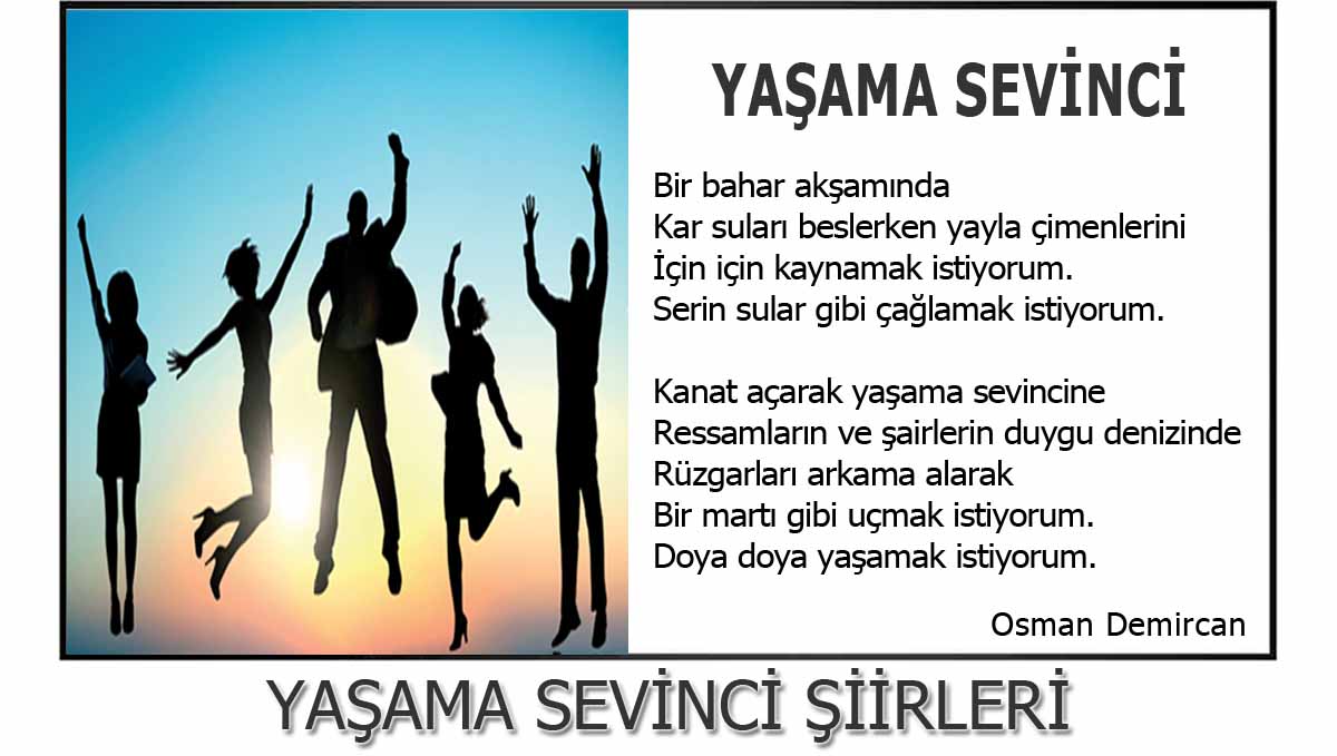 Ya ama Sevinci le lgili iirler K sa Uzun 